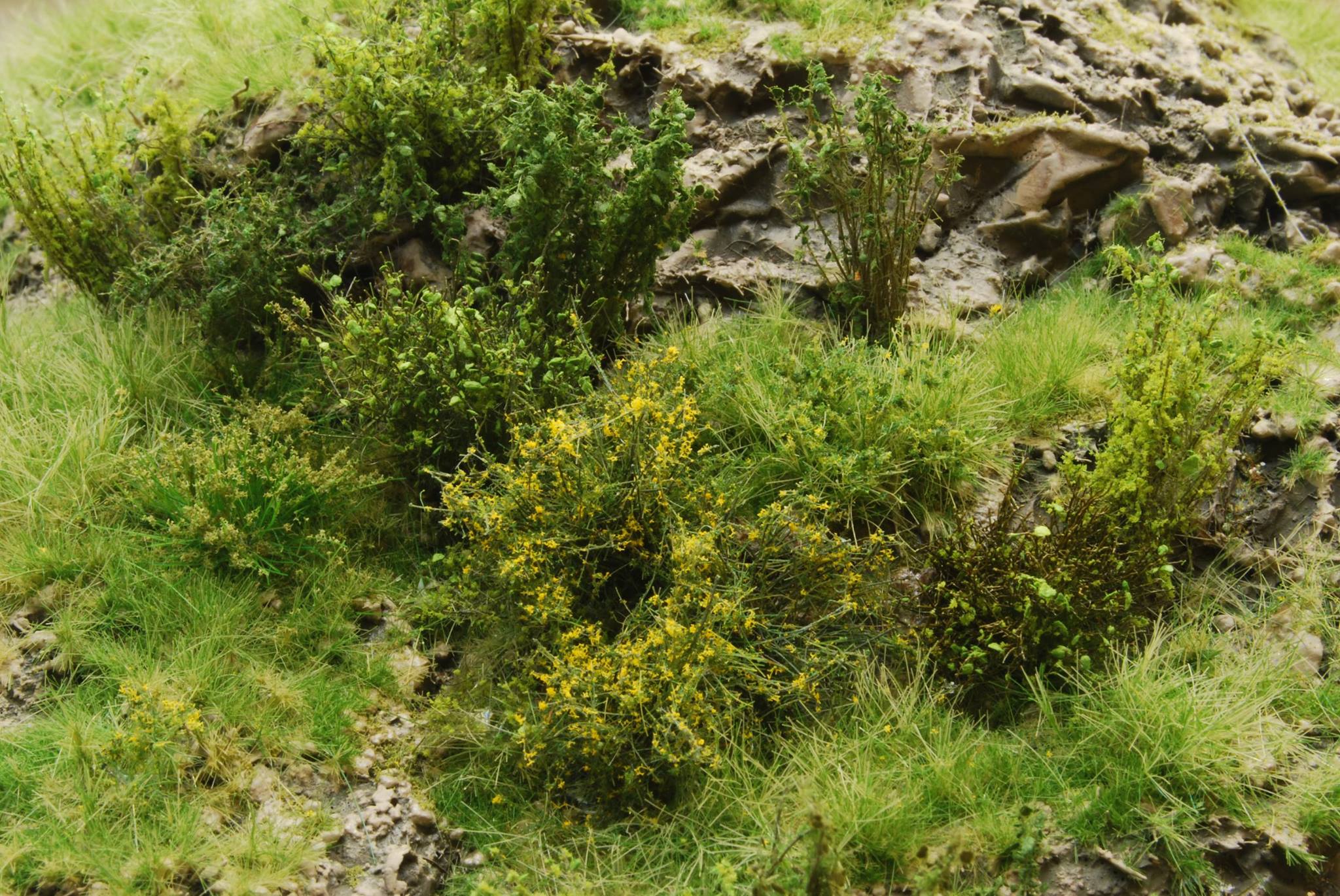 Martin Welberg 1cm 3cm low white bushes, shrubs Type D