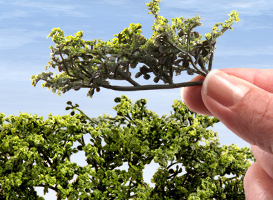 LIGHT GREEN BRIAR BRANCHES-Scenic Express