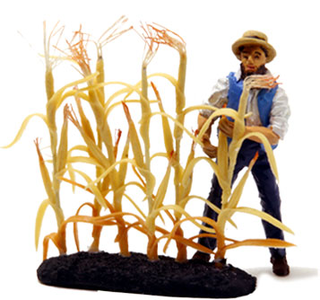 miniature model landscaping, corn stalks, garden, vegetable