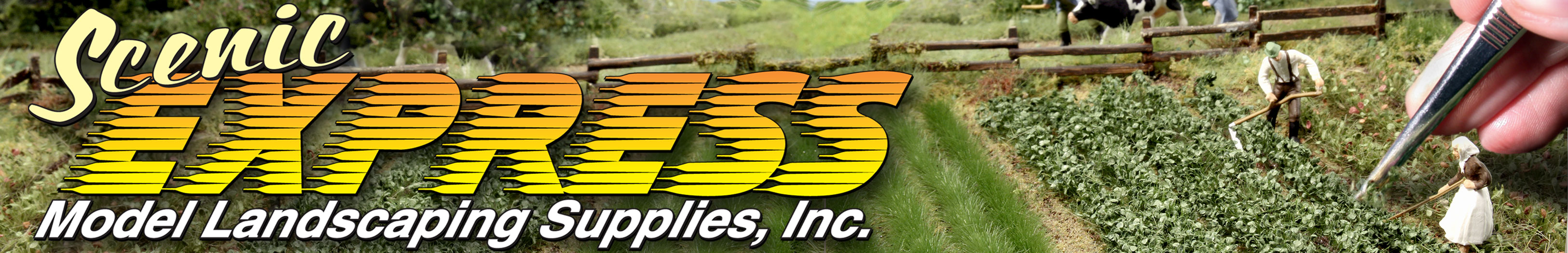 Flexi-Rock-Scenic Express