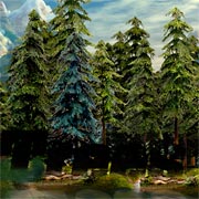 Ready-Made-Scenic Express