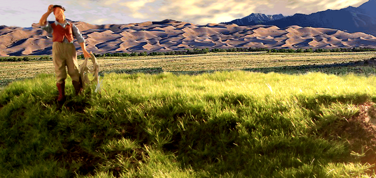 Sale ALL Static Grasses-Scenic Express